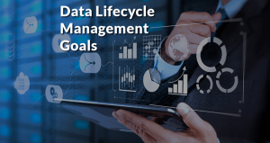 What are The Three Main Goals of Data Lifecycle Management?