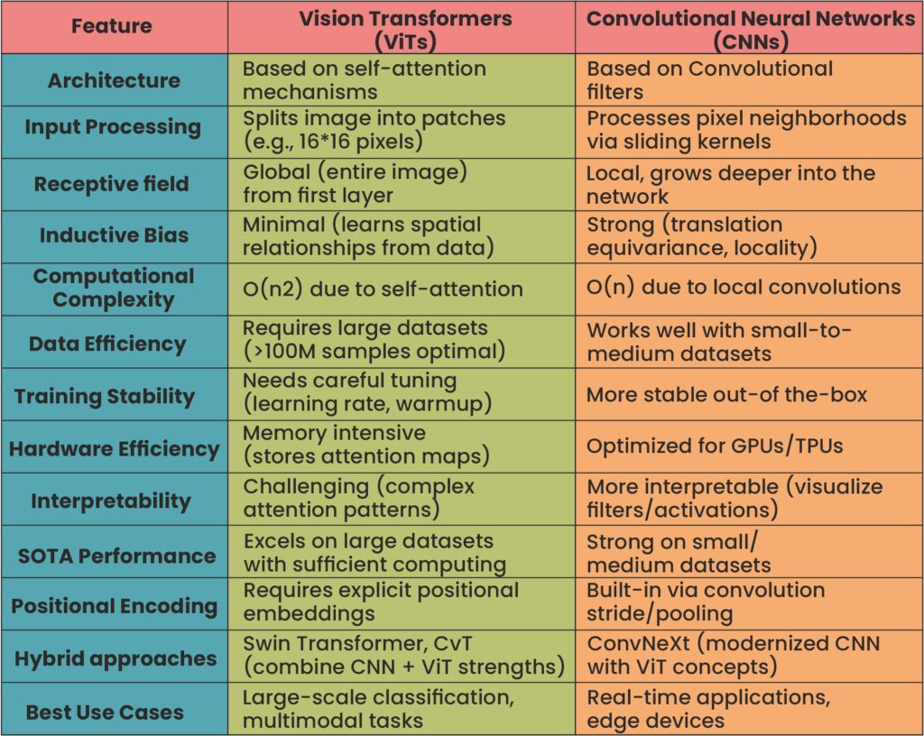 Vision Transformers vs. Convolutional Neural Networks: Who Wins?